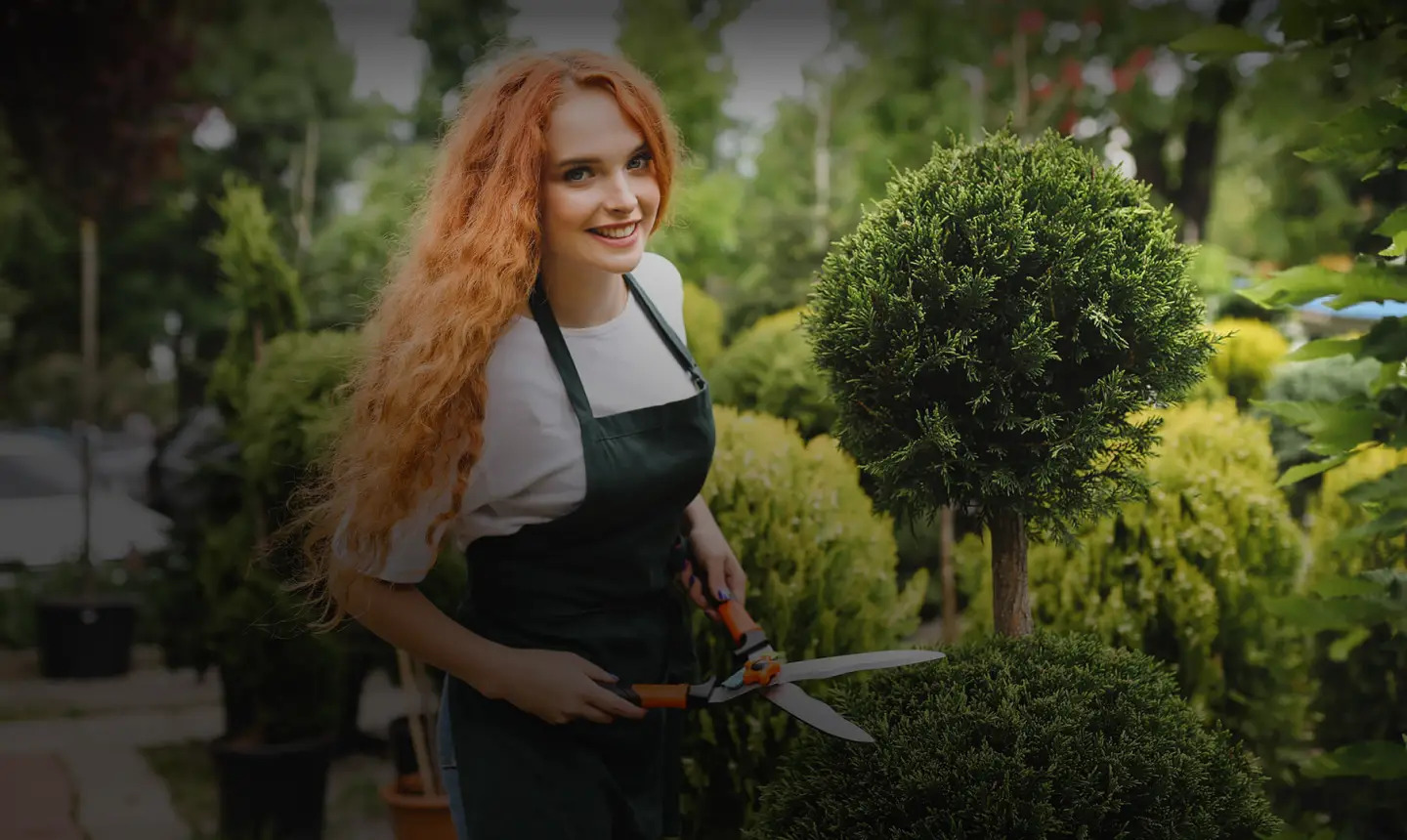 Professional Hedge Trimming Services in Soho